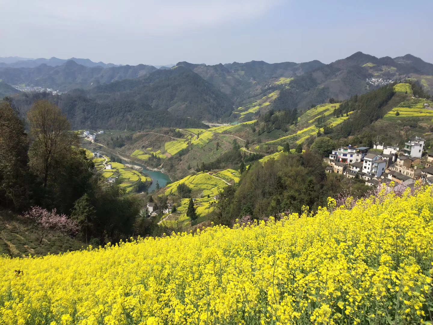 Discover Wuyuan – The most beautiful countryside in China