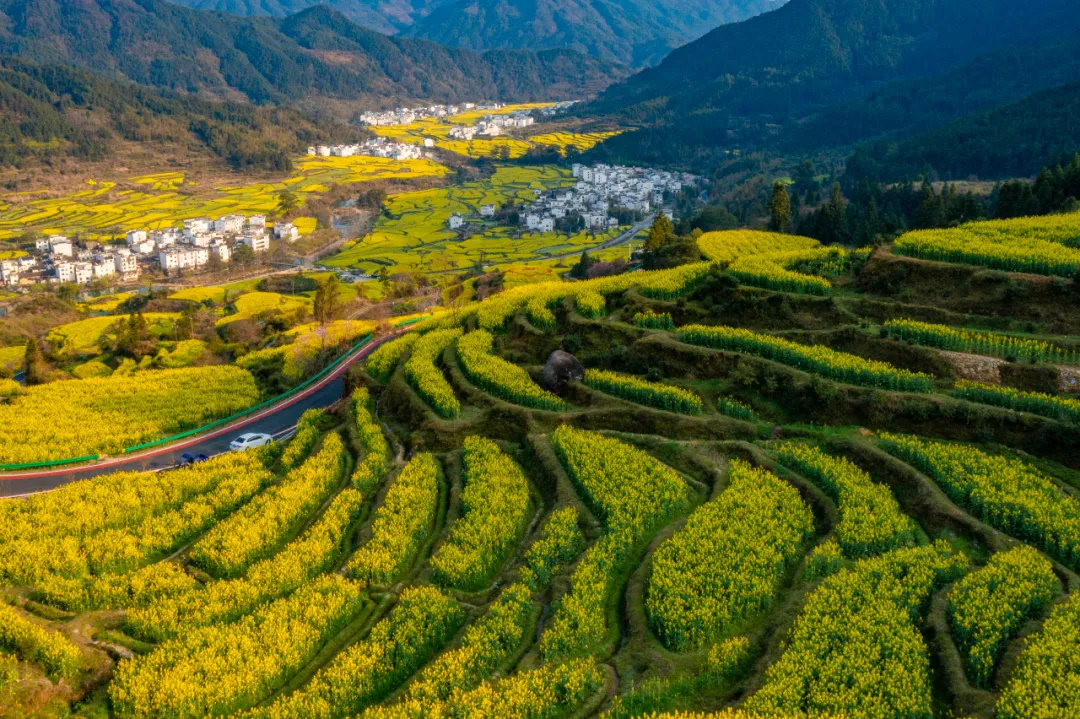 Discover Wuyuan – The most beautiful countryside in China